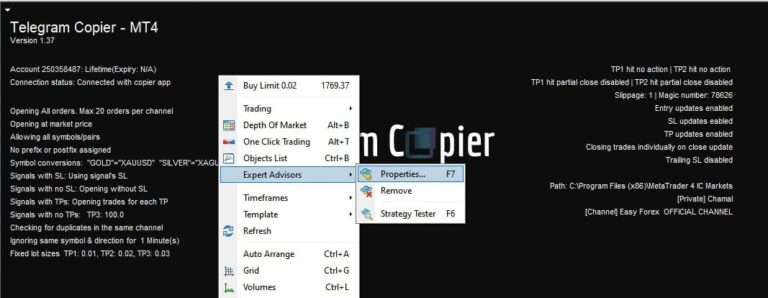 A. Accessing EA settings – Telegram To MT4 Online Guide