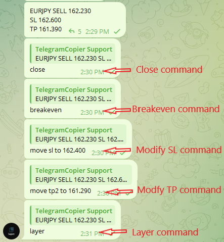 C. How to update signals with replies (signal commands) – Telegram To ...